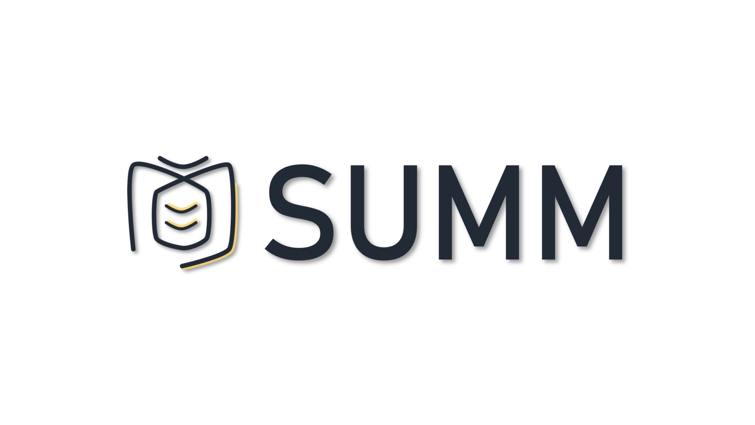 SUMM-Easy Language. Easily made. - SUMM