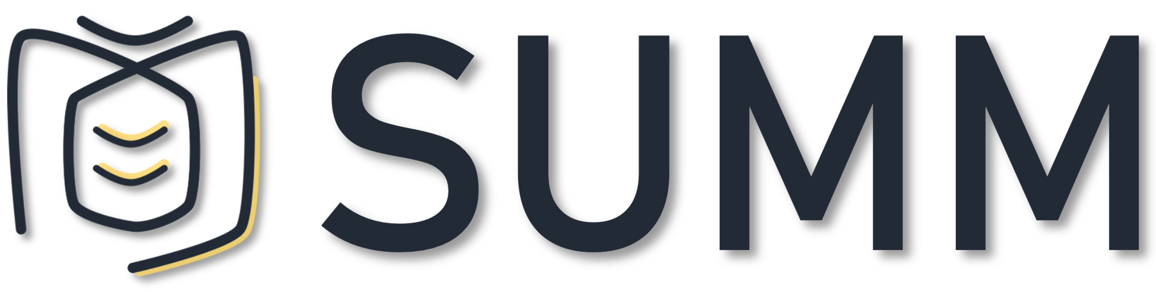 Leichte Sprache - SUMM